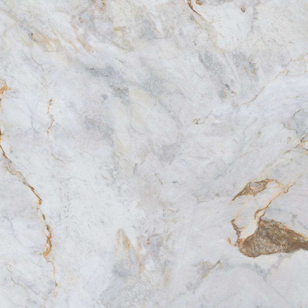 Eterna Marmore Parana 48x48 R Polished Porcelain Tile Sample – Tilezz