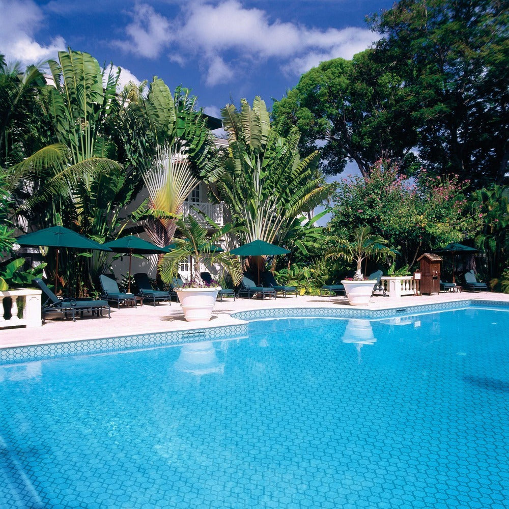 Tulle Coastal 11-7/16x11-13/16 Glass Tile Sample – Tilezz